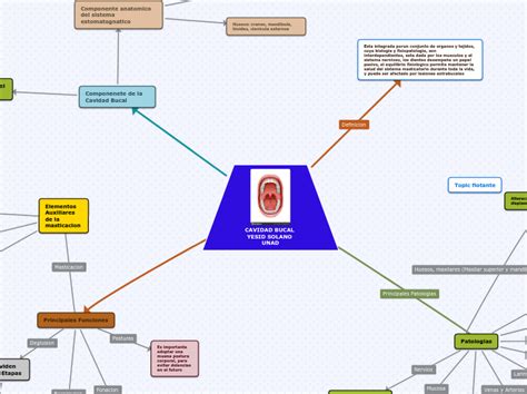 Cavidad Bucal Yesid Solano Unad Mind Map