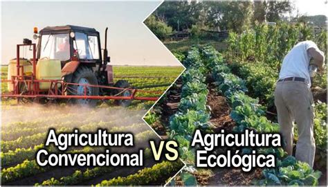 ELIGE SALUD Y BIENESTAR MEDIANTE LAS TÉCNICAS DE PRODUCCIÓN AGRO Y
