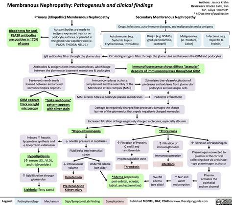 Membranous Glomerulonephritis