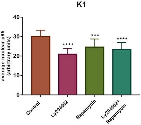 Figure 4 4 From Crosstalk Between NF KB And PI3K Akt MTOR Signalling In
