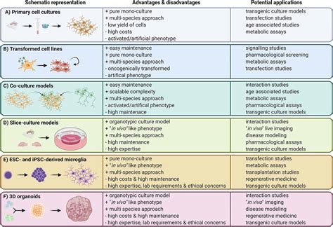 Frontiers Microglia In A Dishwhich Techniques Are On The Menu For