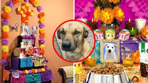 27 de octubre Día de las mascotas fallecidas Qué se les pone en la
