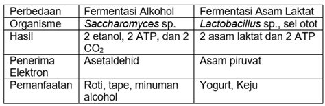 Perbedaan Fermentasi Alkohol Dan Fermentasi Asam L