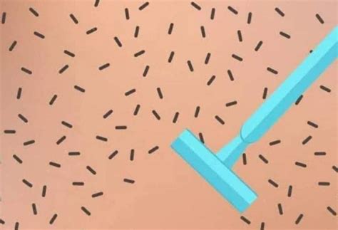 Voici Pourquoi Il Est Dangereux De Raser Totalement Les Poils Pubiens