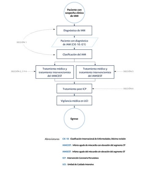 Diagnóstico y tratamiento del paciente con infarto agudo de miocardio