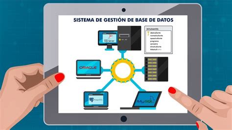 Gestores De Base De Datos Flashcards