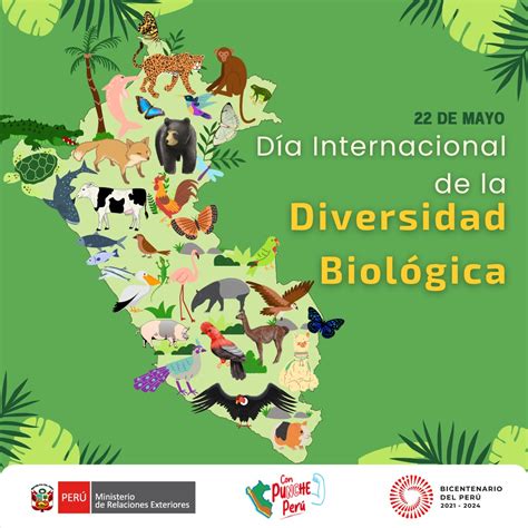 Biodiversidad En El Peru Infografia Latino News The Best Porn Website