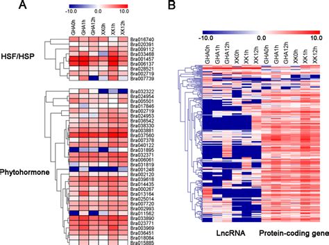 Heatmaps Of The Differentially Expressed Genes Degs Involved In