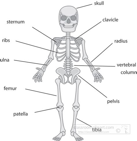 Systems Clip Art Library