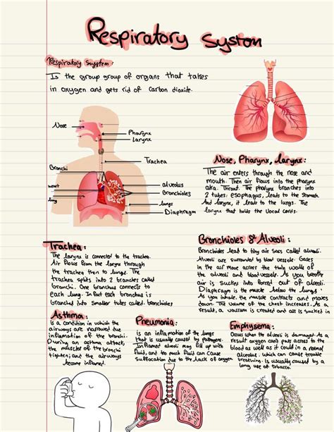 Respiratory Nurse Study Notes Medical School Stuff Study Flashcards