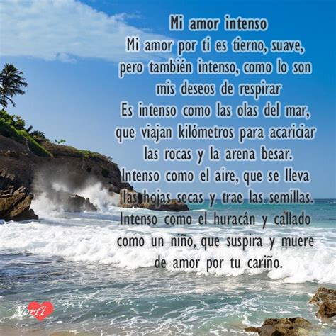 FrasesDeAmor on Twitter Mi amor por ti es tierno suave pero también