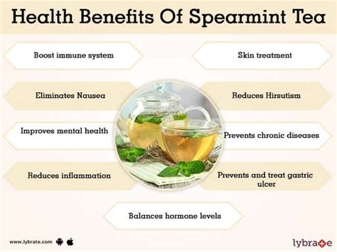 Spearmint Tea Excess Facial Hair