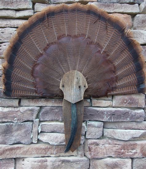 Turkey Fan And Beard Display Turkey Fan Plaque Reclaimed Barn Wood Etsy