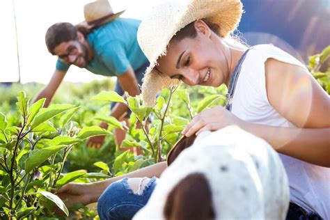 Devenir Horticulteur Missions Salaire Et Formations Centenaire