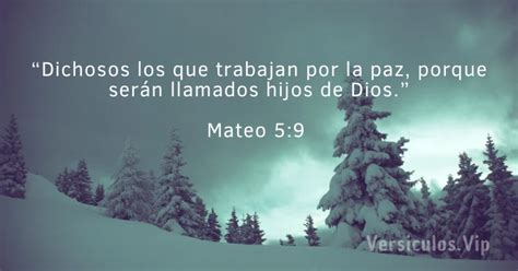 Versiculo Mateo Vers Culos De La Biblia