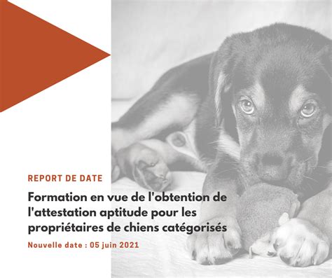 Attestation d aptitude pour obtenir le permis de détention chiens de