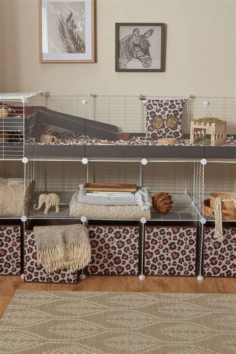 Stylish And Safe C C Cages For Guinea Pigs