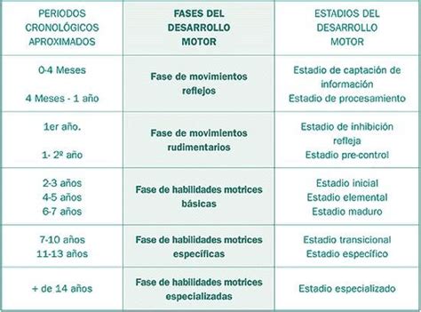 Cuales Son Las Capacidades Fisicas Condicionales Nepora