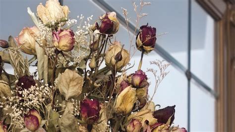 Como usar flores secas na decoração NPDiário