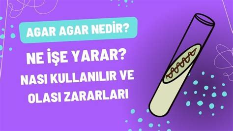 Agar Agar Nedir Ne E Yarar Nas Kullan L R Ve Olas Zararlar Hi