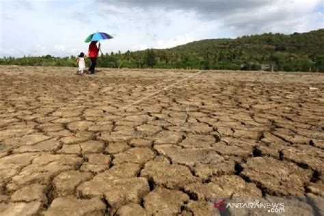 Bmkg Sebut Delapan Persen Wilayah Indonesia Masuk Musim Kemarau