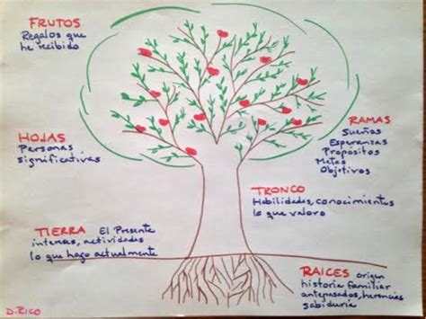 Grupo Terapia Narrativa Coyoacan El Rbol De La Vida
