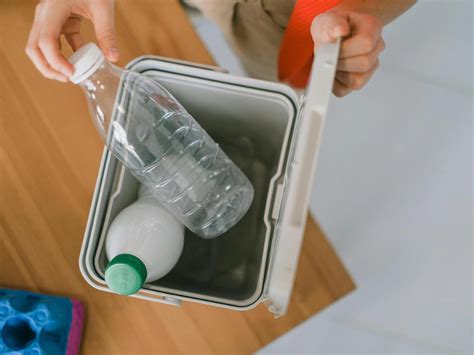 5 consejos para hacer que tu casa sea más sostenible y ecológica Solo