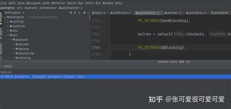 Clion Postgresql