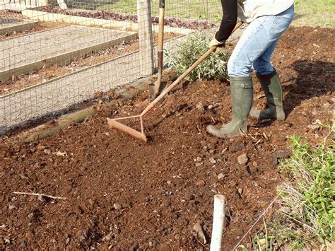 Guía completa Cómo nivelar el terreno para un jardín perfecto