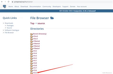 centos7源码编译安装postgresql13 5版本数据库详细操作步骤 pgsql13 5 csdn博客