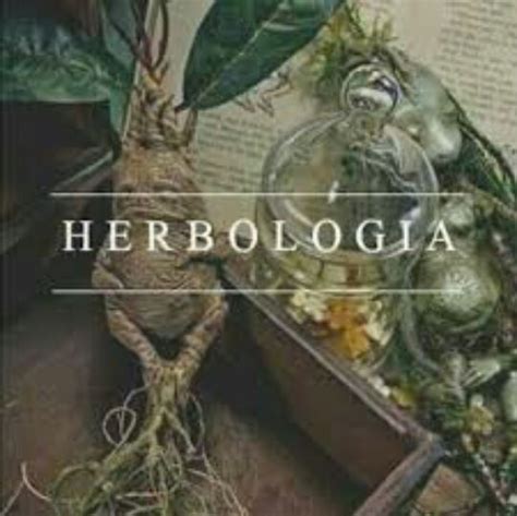 Tarea de Herbología Harry Potter Español Amino