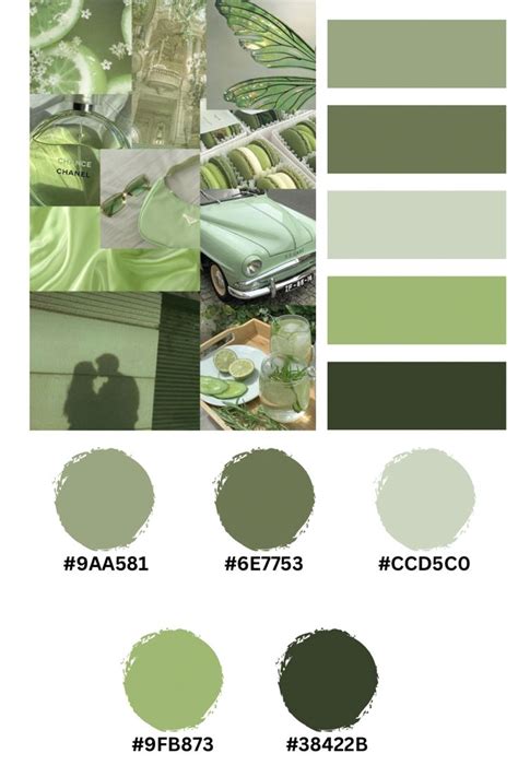 Pastel Green Aesthetic Wall Collage Hex Codes In 2023 Hex Color