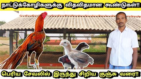 Nattu Kozhi Cage