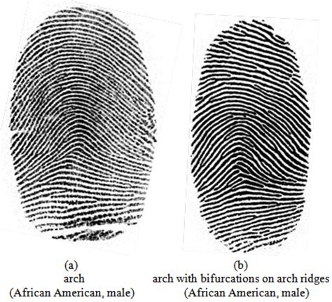 Arch Fingerprint