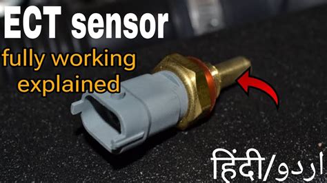 Compalte Details Engine Coolant Temperature Sensor ECT P0115 P0116