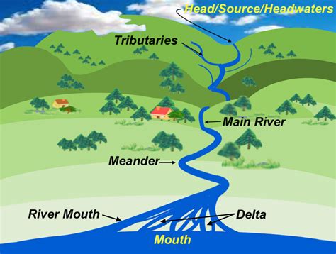 Diagram River What Are The 3 Stages Of A River