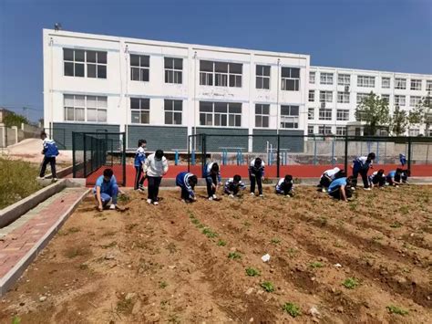 烟台市政府门户网站 劳动教育 海阳市辛安镇第二初级中学2021 2022学年劳动教育工作开展报告