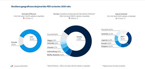 PZU Raport Roczny 2020