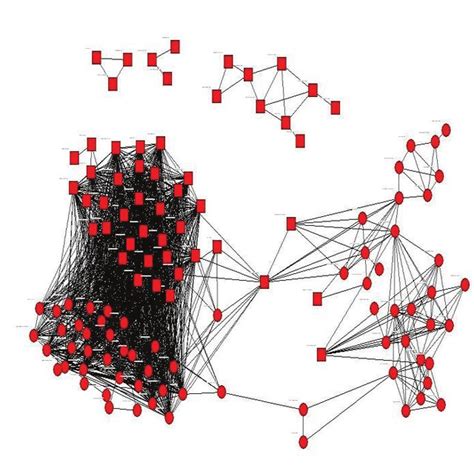 intra organizational informal relationship network of men and women download scientific diagram