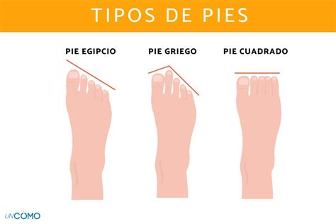S Ntesis De Art Culos Como Se Llaman Los Dedos De Los Pies