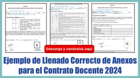 Excelentes Ejemplos Del Correcto Llenado De Anexos Para El Contrato