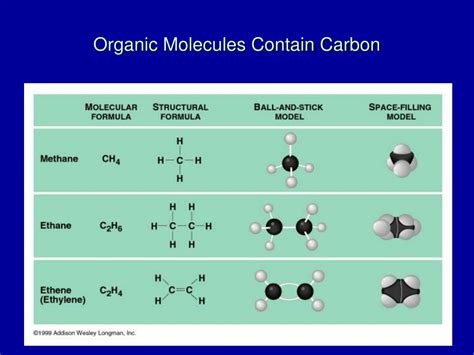 The Lower Carbon Footprint Of Organic Foods How Eating Organic Can