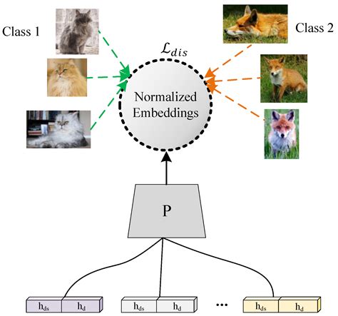 electronics free full text generalized zero shot image classification via partially shared