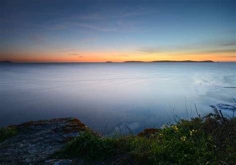 Ons desde Paxariñas Sanxenxo Celtarro Flickr
