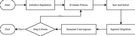 a procedure of squirrel search algorithm ssa download scientific diagram