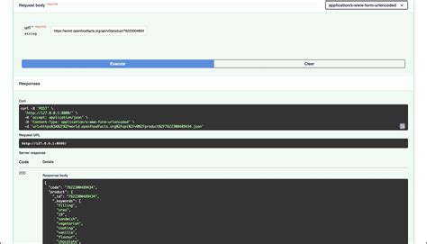 python how to pass unencoded url in fastapi swagger ui via get method stack overflow