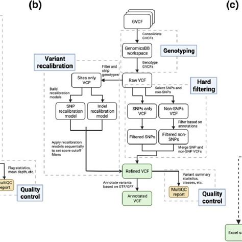 overview of the wags pipelines a onewag for single sample variant download scientific diagram