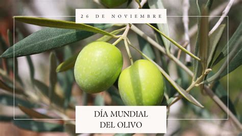 26 de noviembre Día Mundial del Olivo Revista Marketing