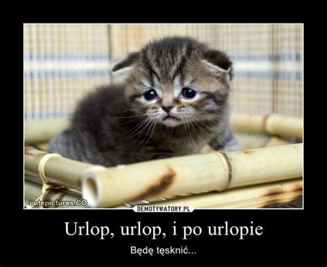Polak Na Wakacjach MEMY Urlop Polaka Czyli Pogoda Byle Jaka I