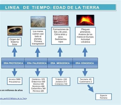 Solution L Nea Del Tiempo Etapas Del Embarazo Studypool Riset